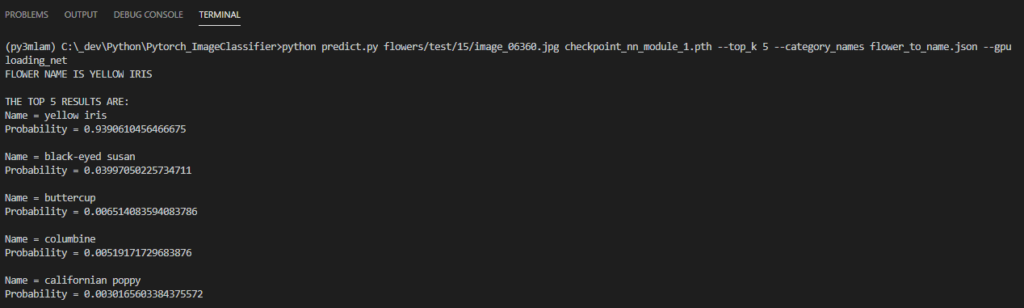 PYTORCH-CLASSIFIER | complicitMatter