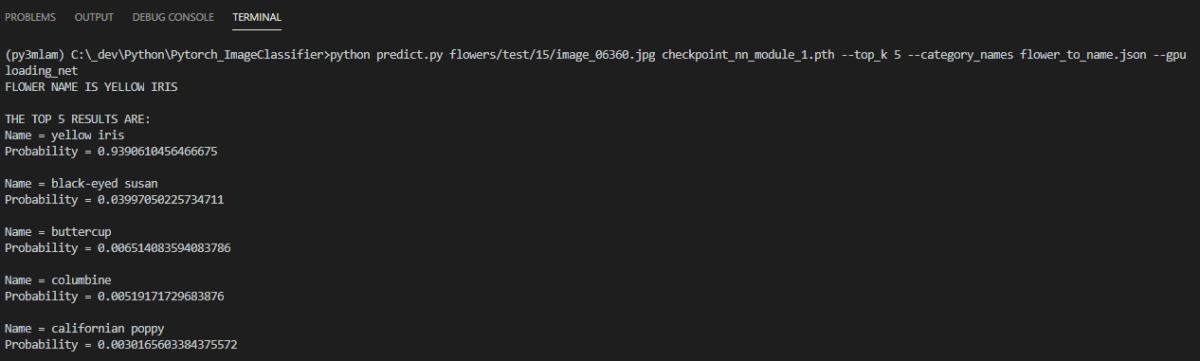 Pytorch Classifier Complicitmatter